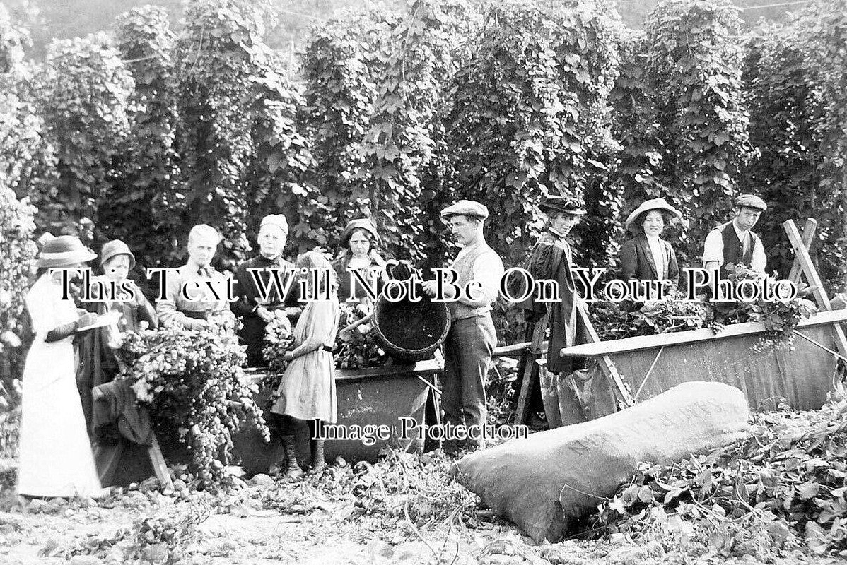 KE 3880 - Sam Larkin Hop Grower Workers, Kent – JB Archive