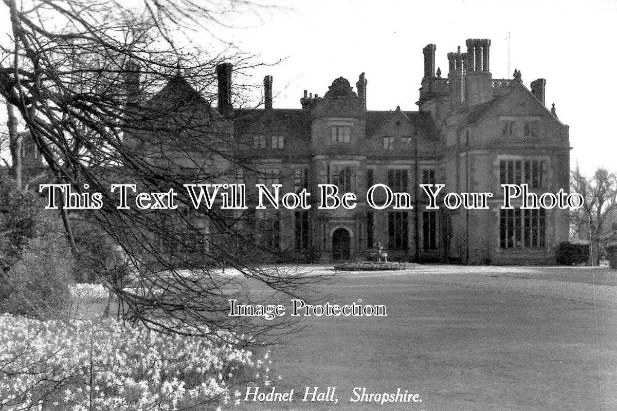 SH 1167 - Hodnet Hall, Shropshire – JB Archive