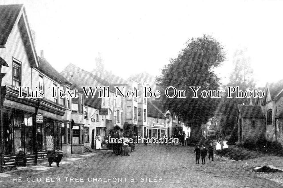 BU 1347 - The Old Elm Tree, Chalfont St Giles, Buckinghamshire – JB Archive