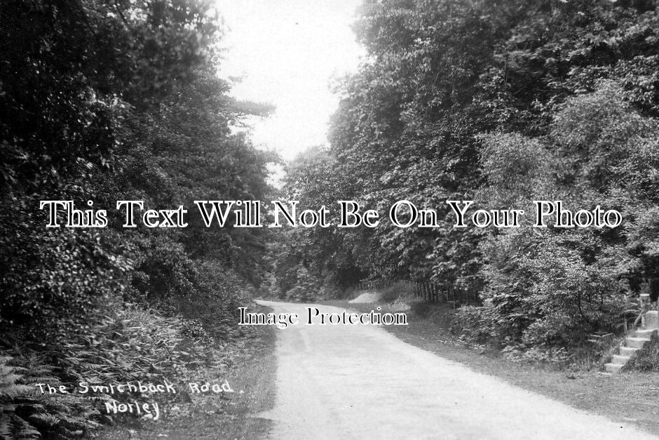 CH 271 - The Switchback Road, Delamere Forest, Norley, Frodsham, Chesh ...
