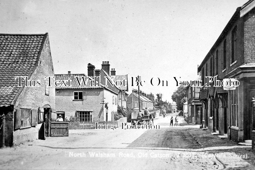 DE 1143 - Old Catton, Devon – JB Archive