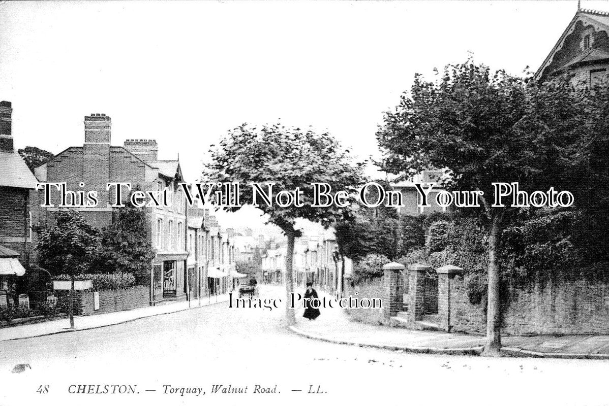DE 1624 - Walnut Road, Chelston, Torquay, Devon – JB Archive
