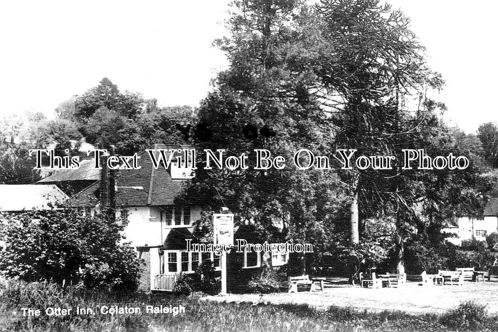DE 1667 - The Otter Inn, Colaton Raleigh, Devon – JB Archive