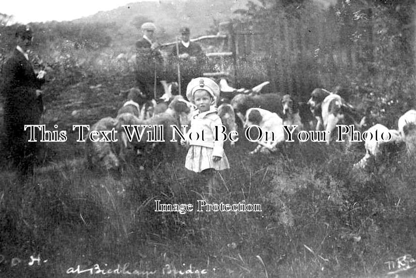 DE 1719 - Hunting Hounds At Bickham Bridge, Totnes, Devon – JB Archive