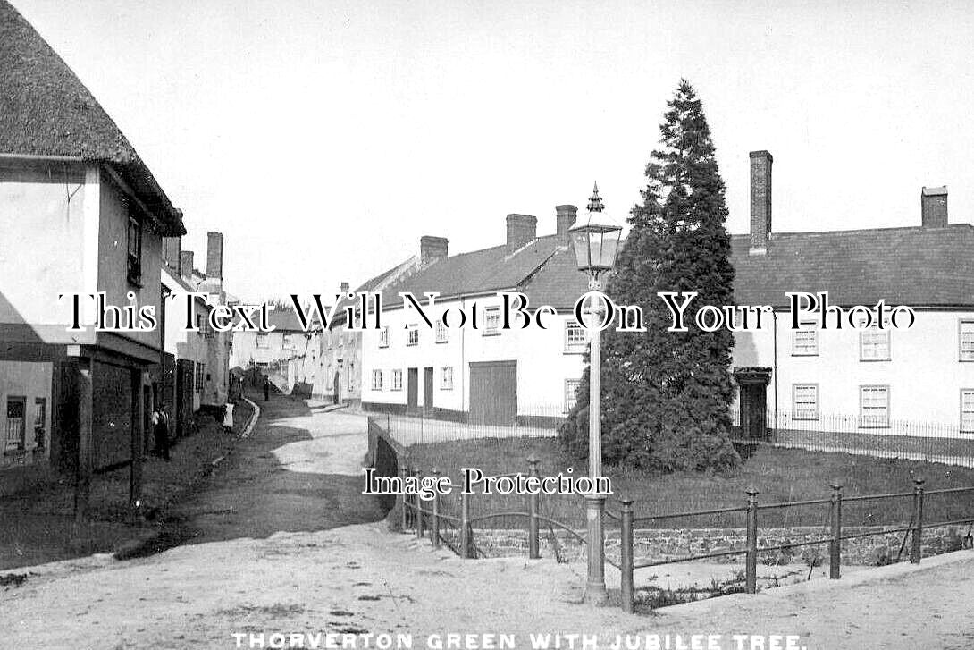 DE 2265 - Thorverton Green With Jubilee Tree, Devon c1914 – JB Archive