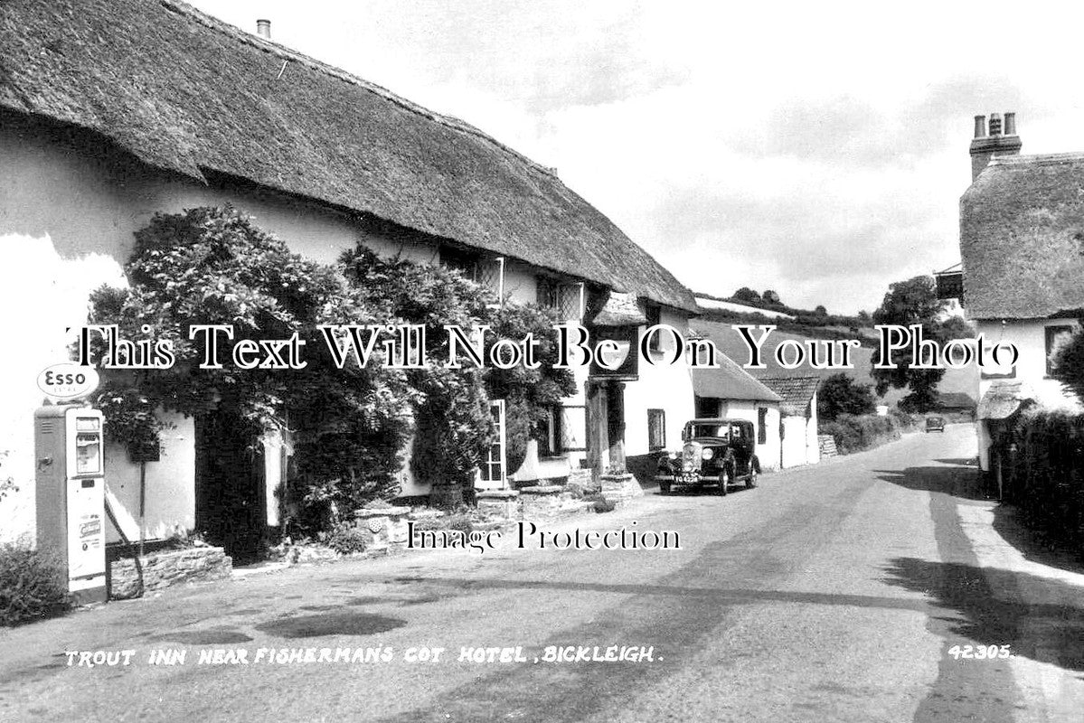 DE 2761 - Trout Inn Near Fishermans Cot Hotel, Devon – JB Archive