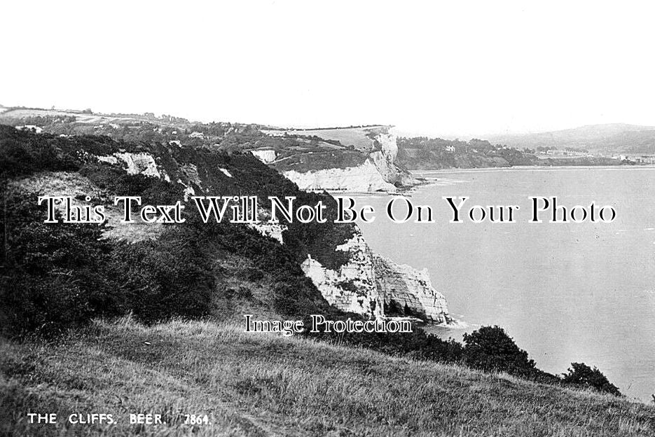 DE 2807 - The Cliffs, Beer, Devon – JB Archive