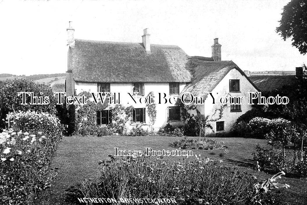 DE 3113 - Netherton, Drewsteighton, Devon – JB Archive