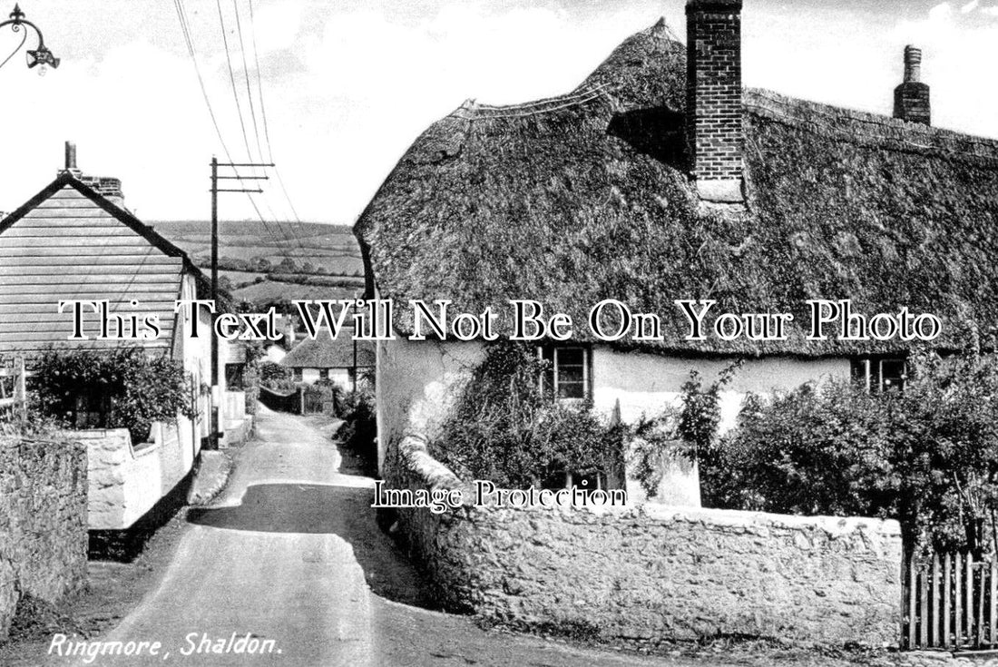 DE 3749 - Ringmore, Shaldon, Devon – JB Archive