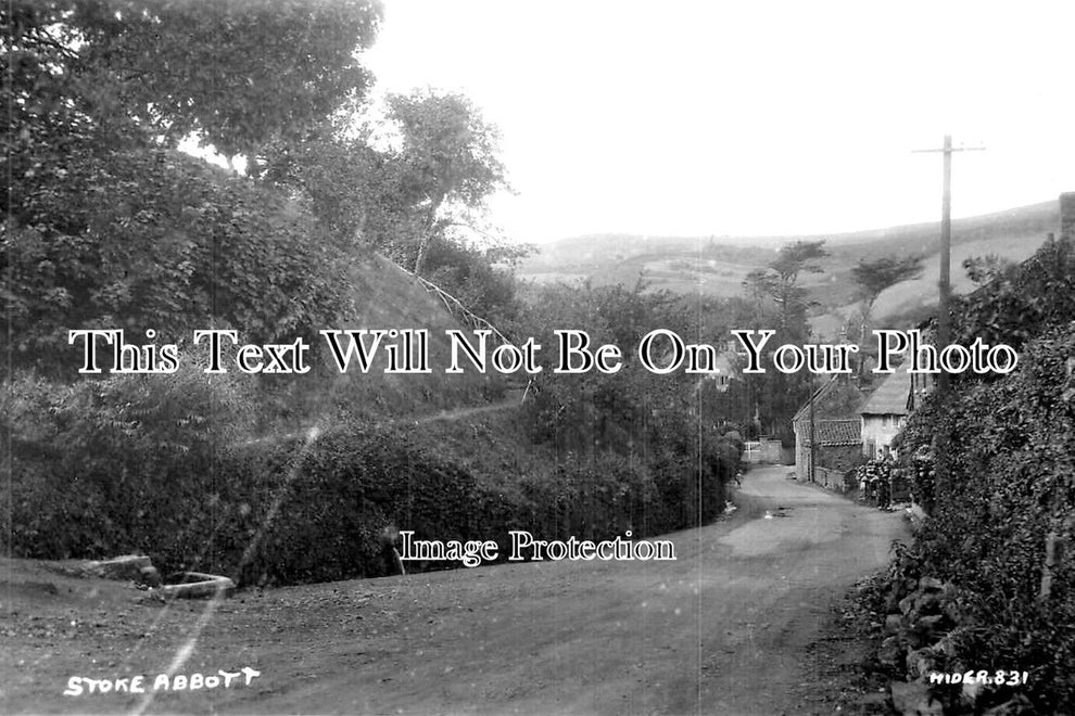 DO 1557 - Stoke Abbott, Dorset – JB Archive