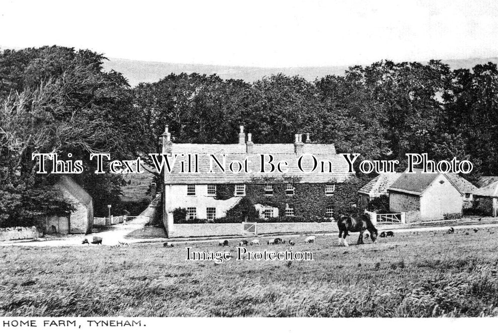 DO 2028 - Home Farm, Tyneham, Dorset – JB Archive