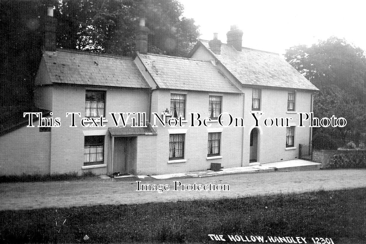 DO 2523 - The Hollow, Handley, Dorset – JB Archive