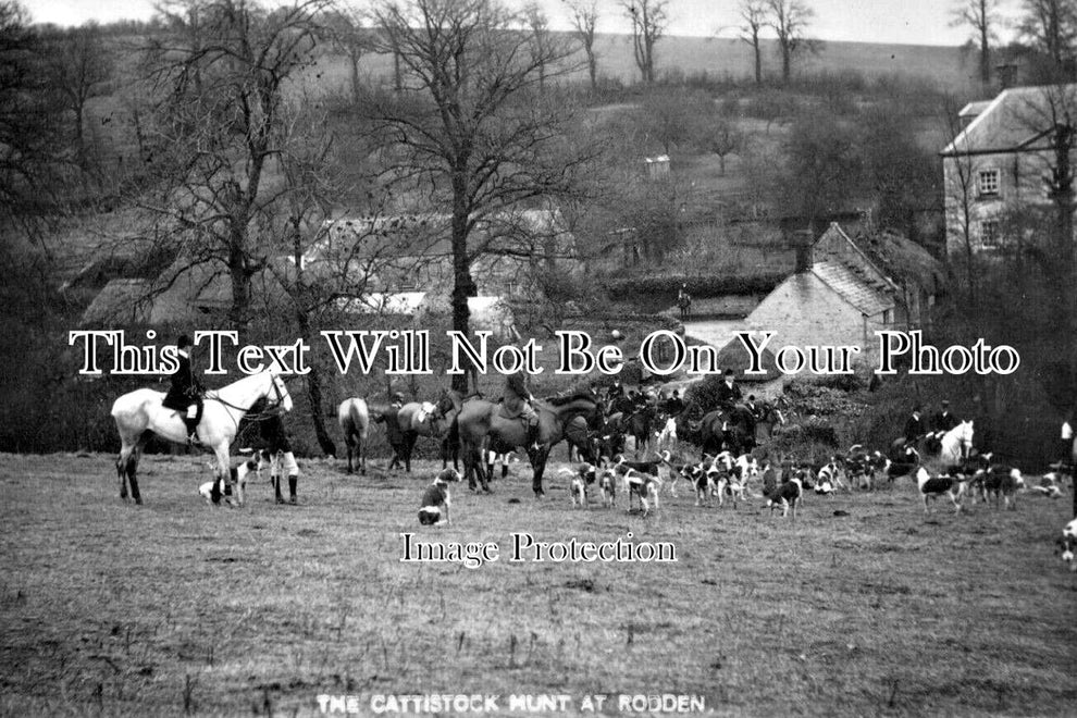 DO 3135 - The Cattistock Hunt At Rodden, Dorset – JB Archive
