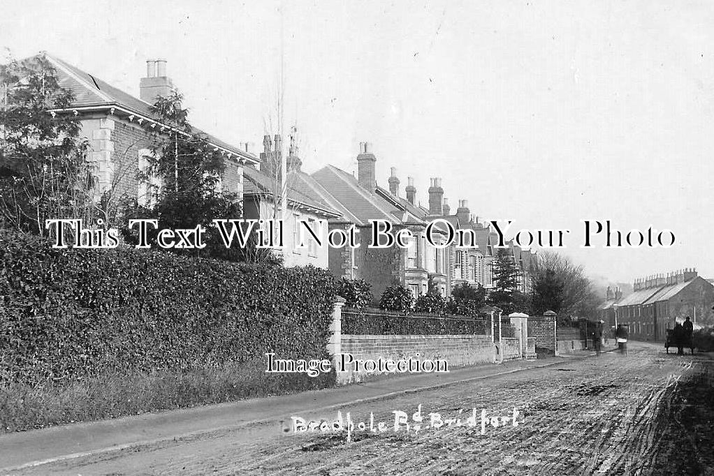 DO 339 - Bradpole Road, Bridport, Dorset c1905 – JB Archive
