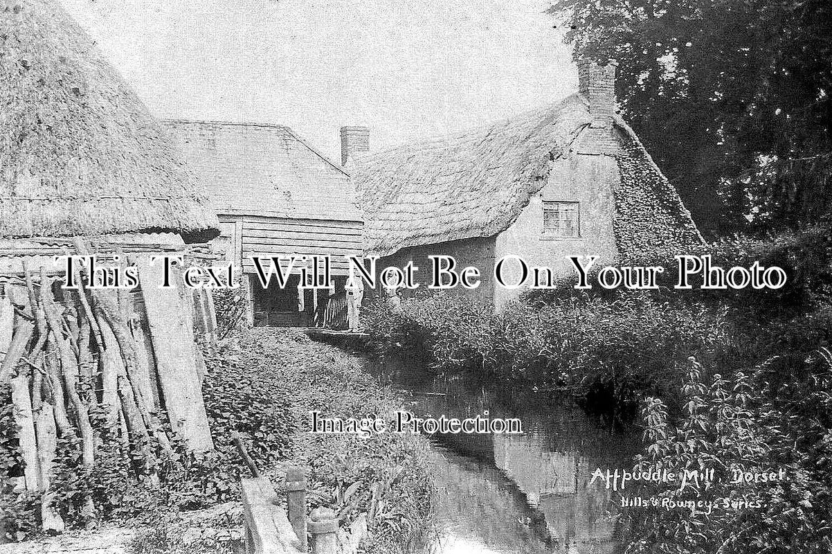DO 38 - Affpuddle Mill, Dorset – JB Archive