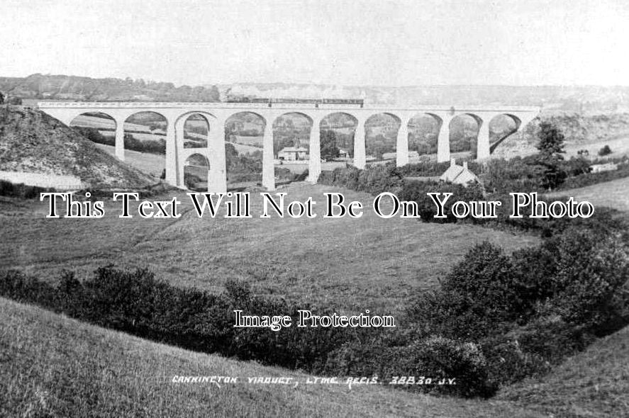 DO 602 - Cannington Viaduct, Lyme Regis, Dorset – JB Archive