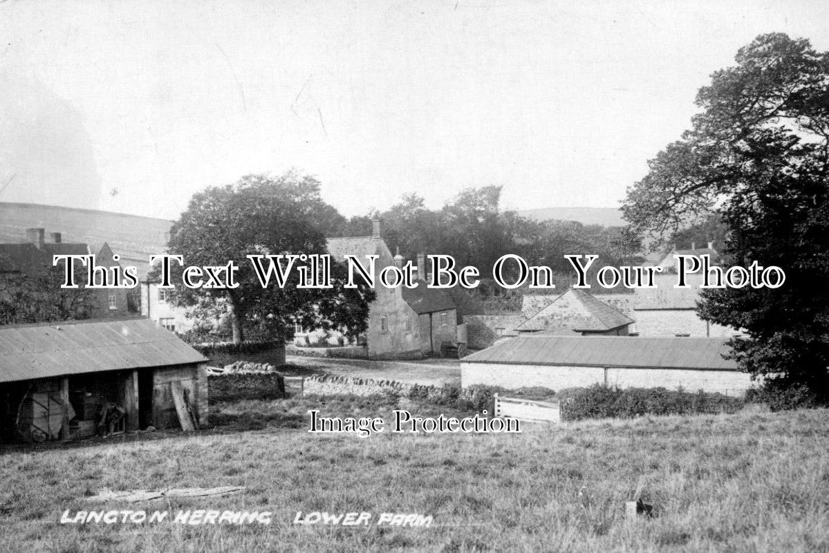 DO 683 - Lower Farm, Langton Herring, Dorset – JB Archive