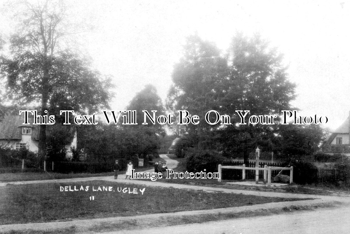 ES 1616 - Dellas Lane, Ugley, Essex – JB Archive