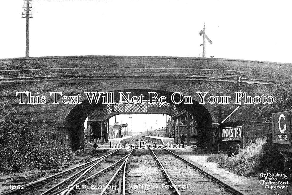 ES 1984 - Hatfield Peverel Railway Station, Essex – JB Archive