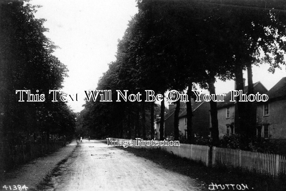 ES 296 - Hutton, Essex – JB Archive