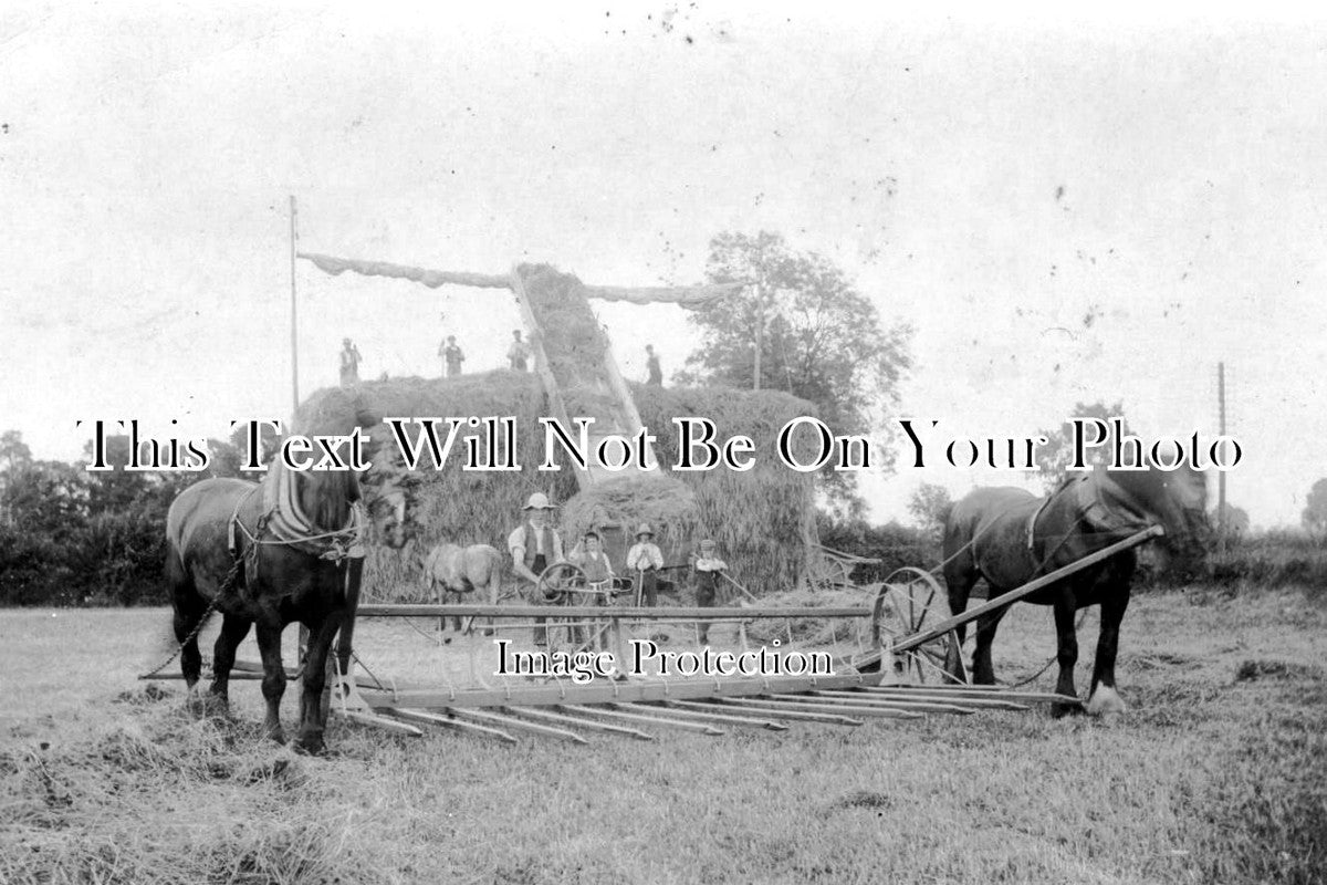 ES 417 - Harvesting At Rose Farm, Thorpe Le Soken, Essex – JB Archive
