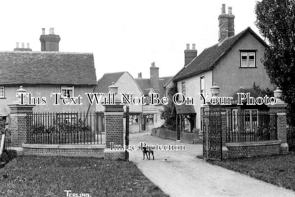 ES 5456 - Terling, Essex – JB Archive