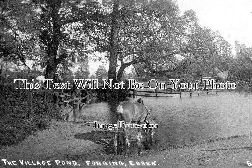 ES 5685 - The Village Pond, Fobbing, Essex – JB Archive