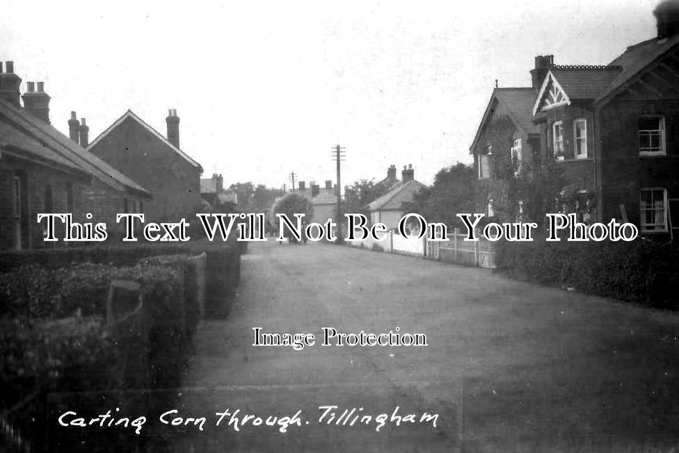 ES 5823 - Carting Corn Through Tillingham, Essex – JB Archive