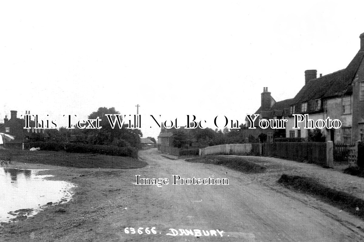 ES 5864 - Danbury, Essex – JB Archive