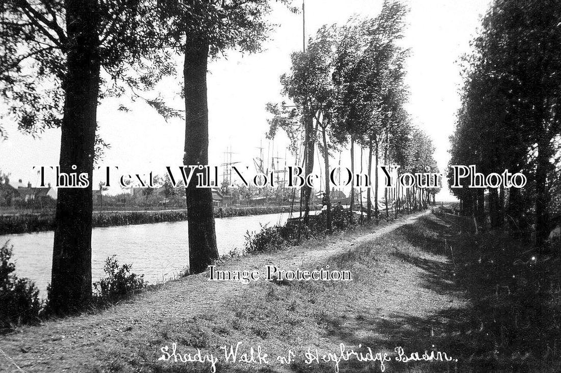 ES 6352 - Shady Walk By The Canal, Heybridge Basin, Essex c1912 – JB ...