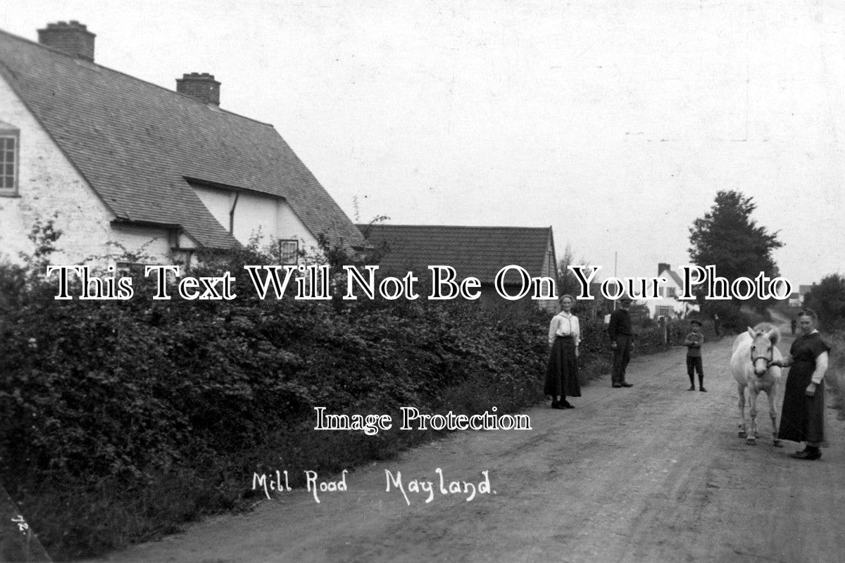 ES 775 - Mill Road, Mayland, Essex – JB Archive