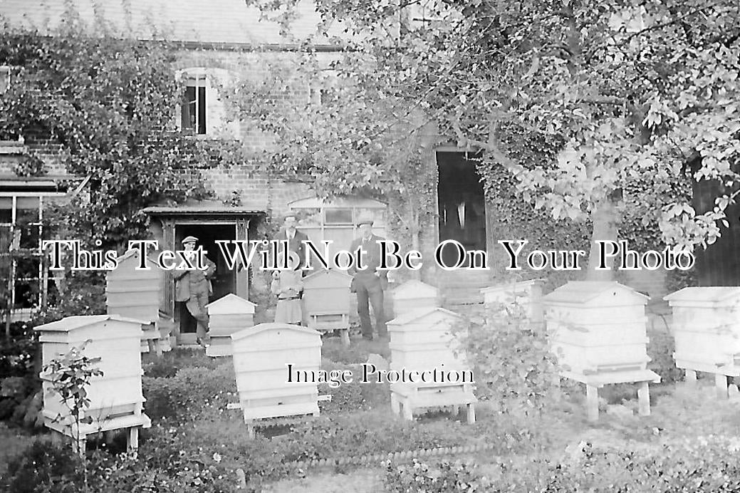 GL 520 - Bee Keeping, Stroud, Gloucestershire – JB Archive