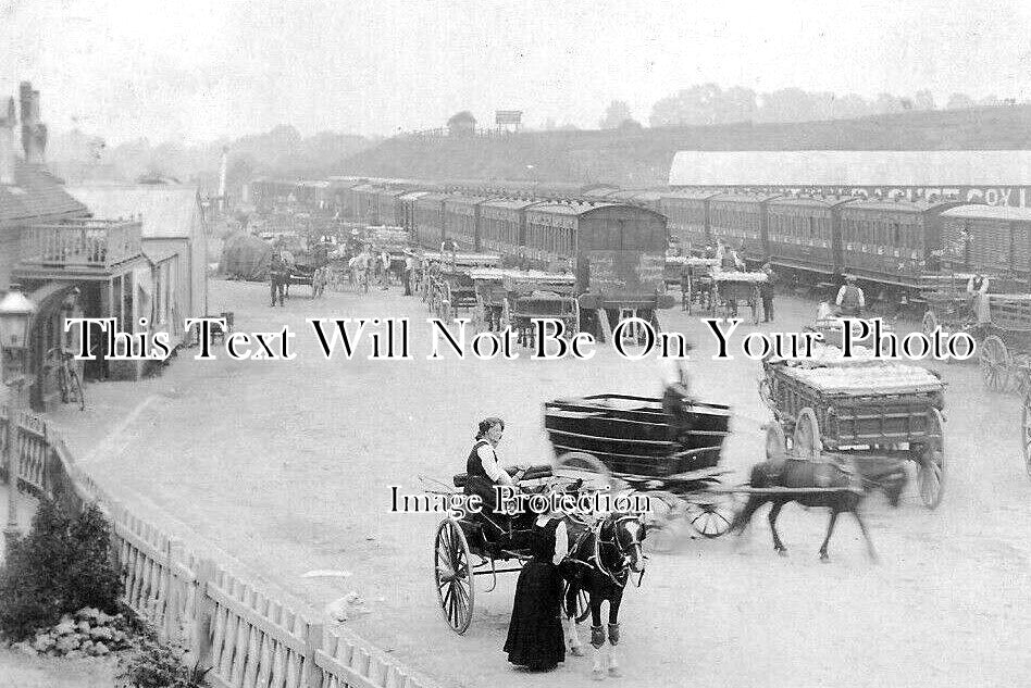 HA 4831 - Swanwick Railway Station, Hampshire c1910 – JB Archive