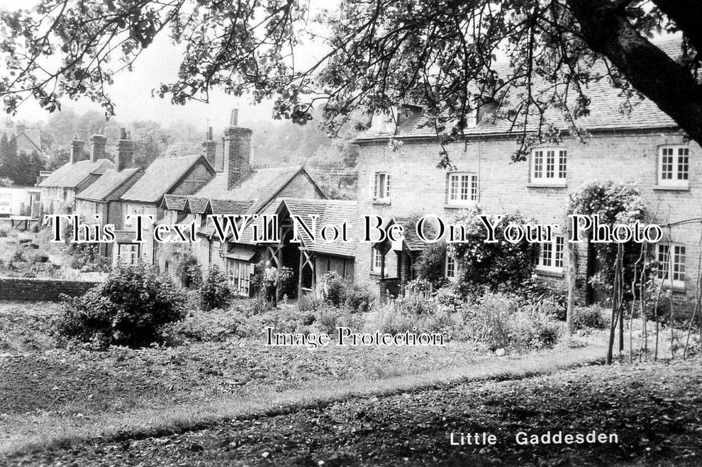 HF 2003 - Little Gaddesden, Hertfordshire – JB Archive