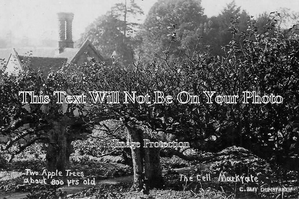 HF 674 - The Cell, Markyate, 800 Year Old Apple Trees, Hertfordshire ...
