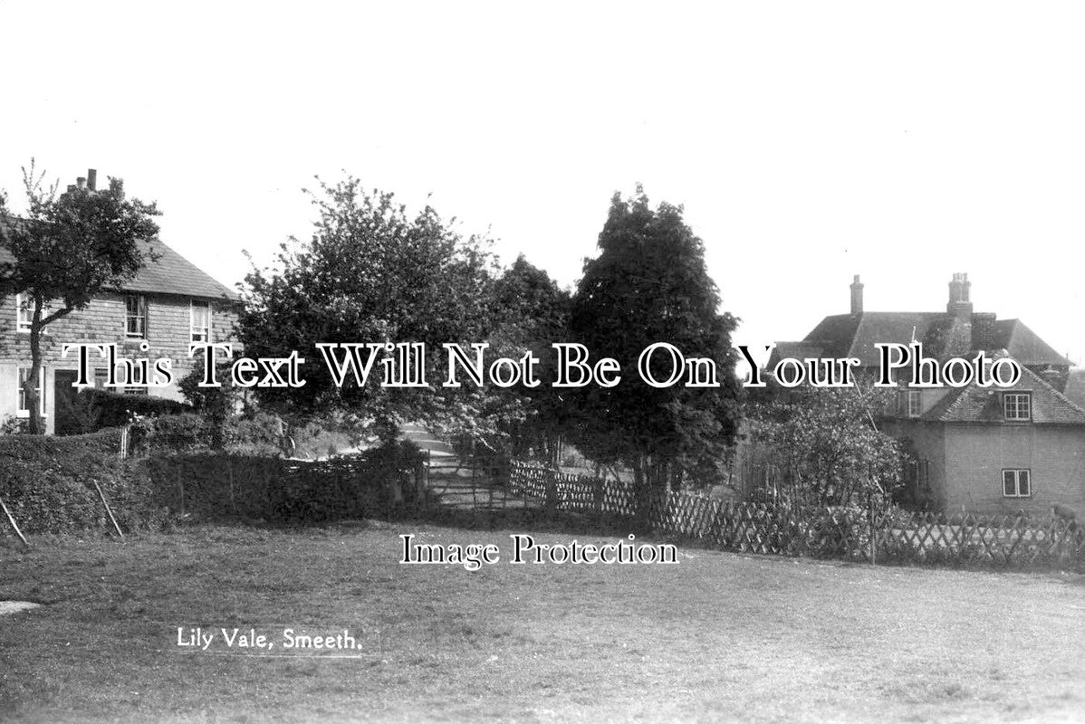 KE 2796 - Lily Vale, Smeeth, Kent – JB Archive