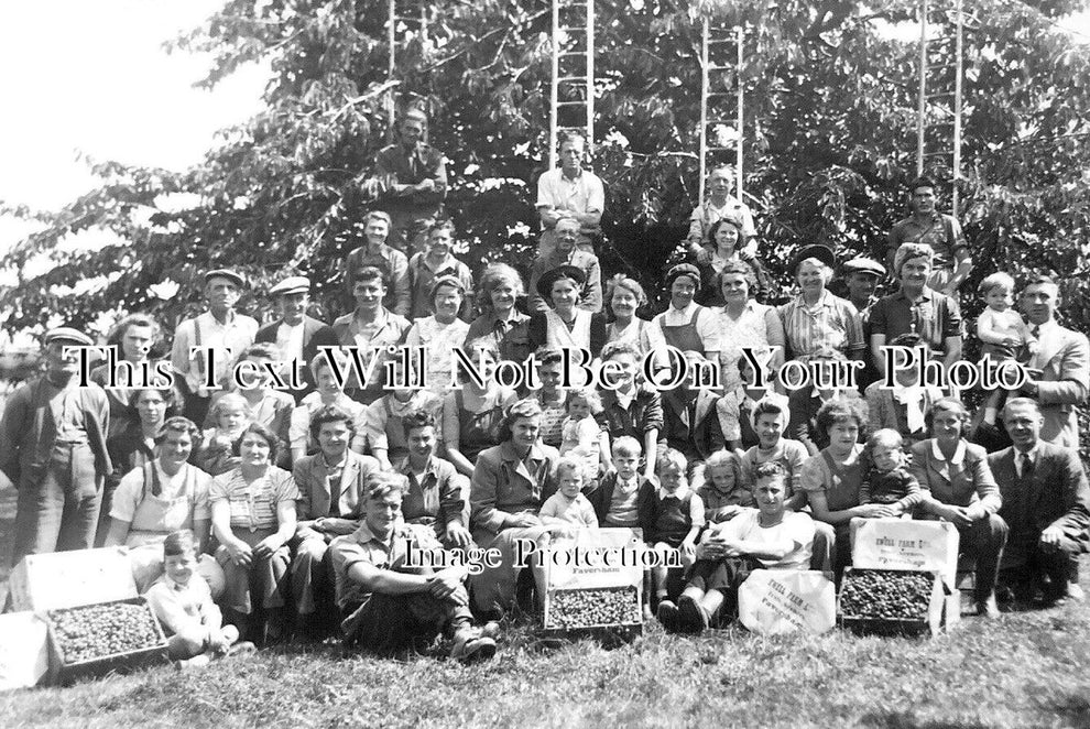 KE 3557 - Ewell Farm Ltd Farmers, Faversham, Kent – JB Archive