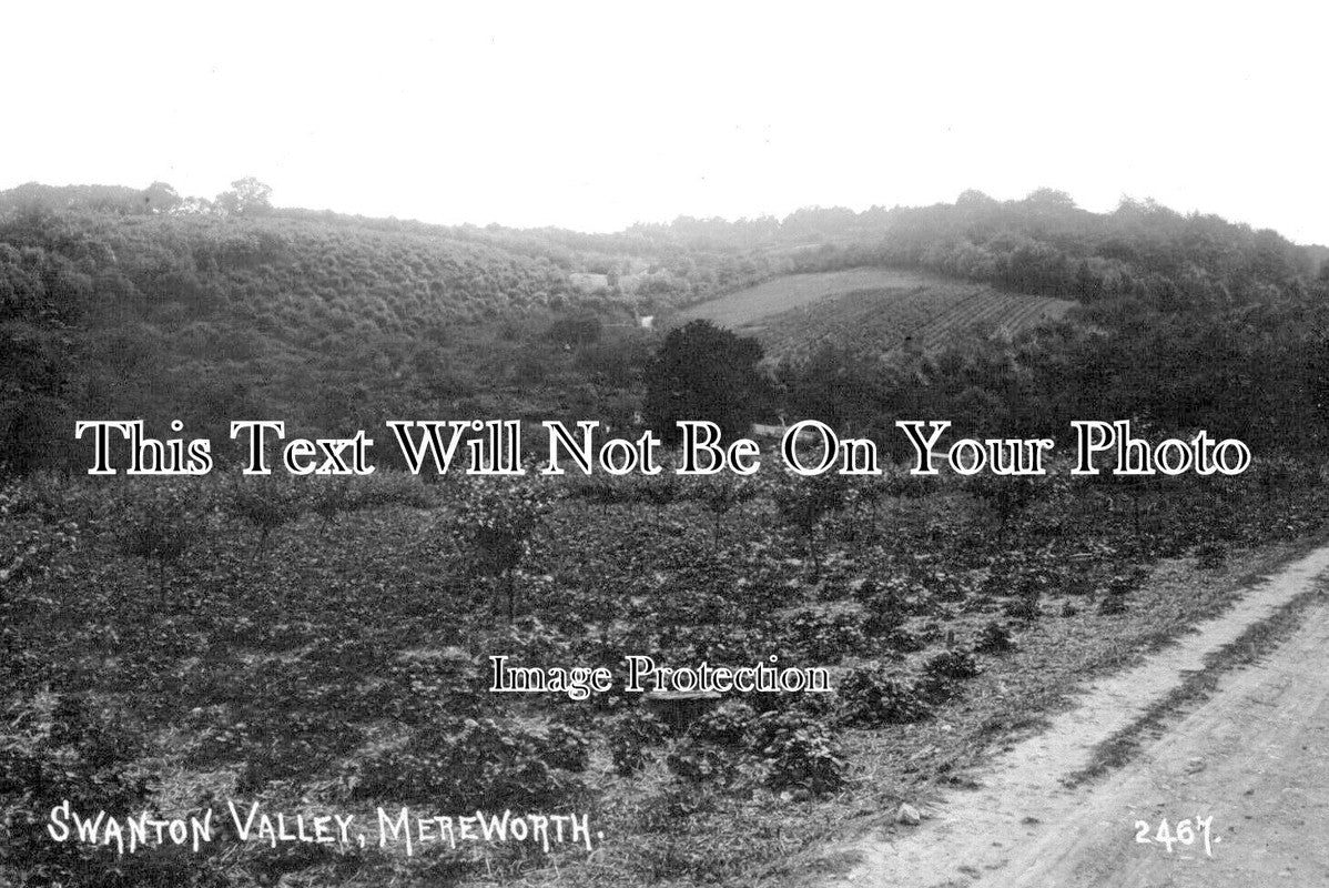 KE 3995 - Swanton Valley, Mereworth, Kent – JB Archive