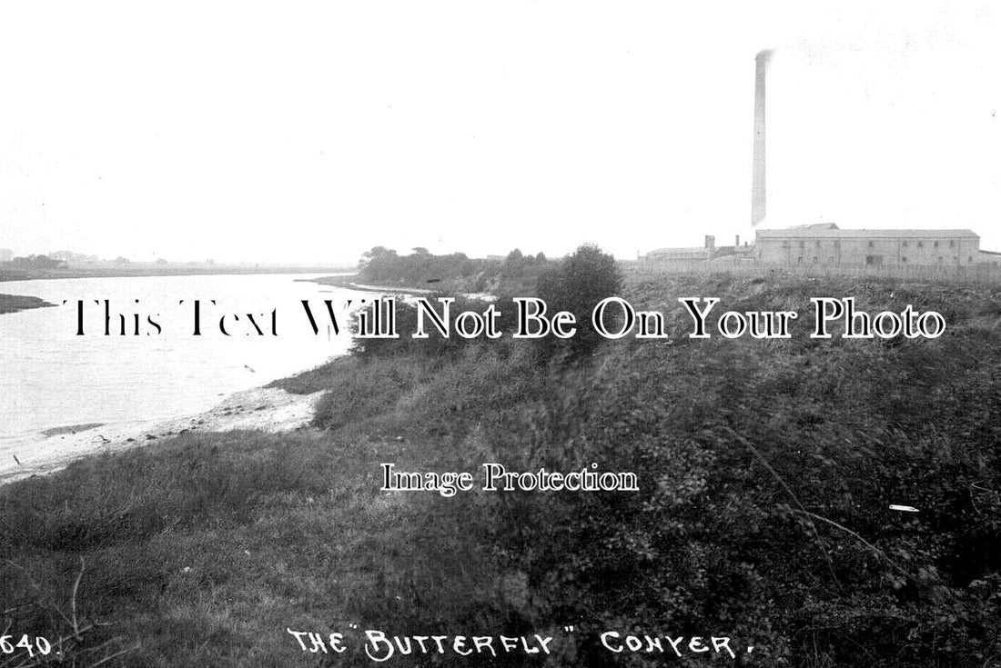 KE 6089 - The Butterfly, Conyer, Kent – JB Archive