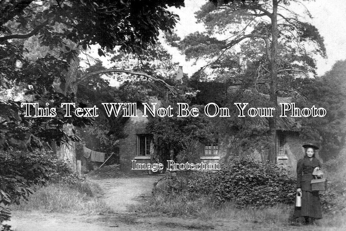 KE 6223 - The Old Thatched Cottage In The Woods, Erith, Kent – JB Archive
