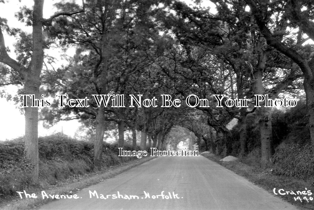 NF 1725 - The Avenue, Marsham, Norfolk – JB Archive