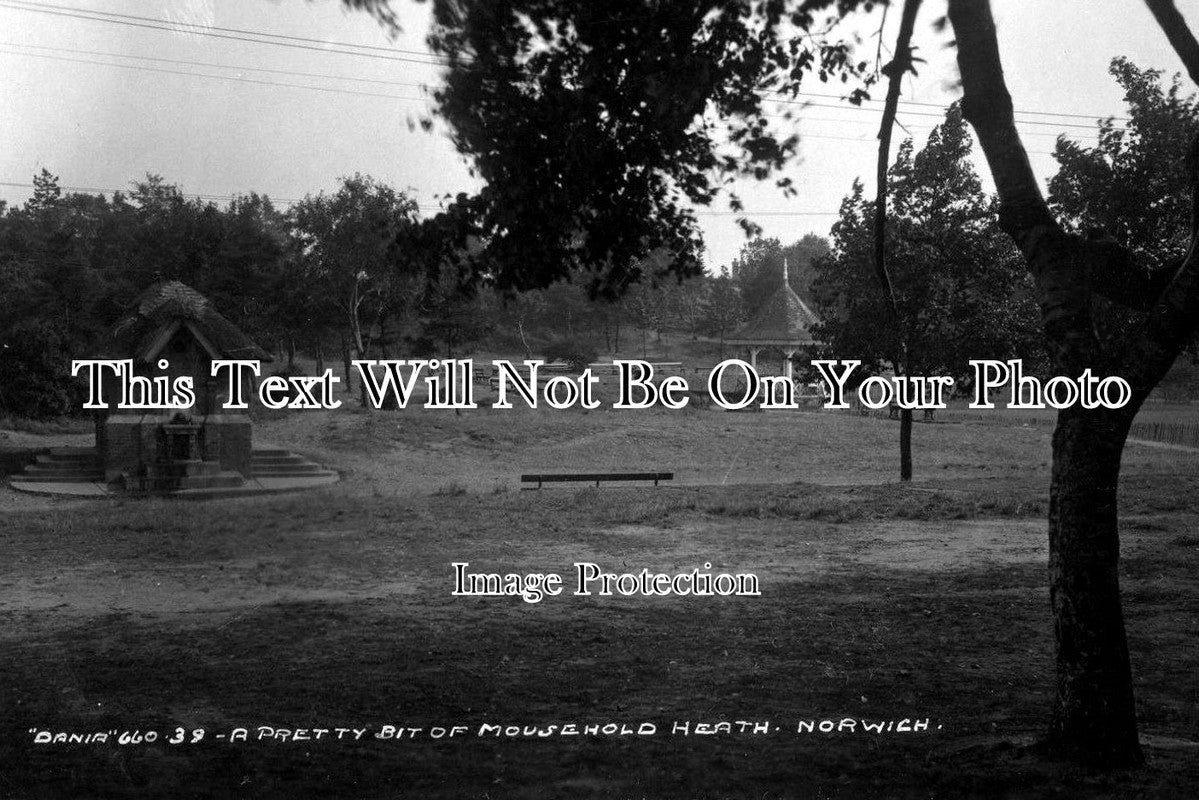 NF 516 - A Pretty Bit Of Mousehold Heath, Norwich, Norfolk – JB Archive