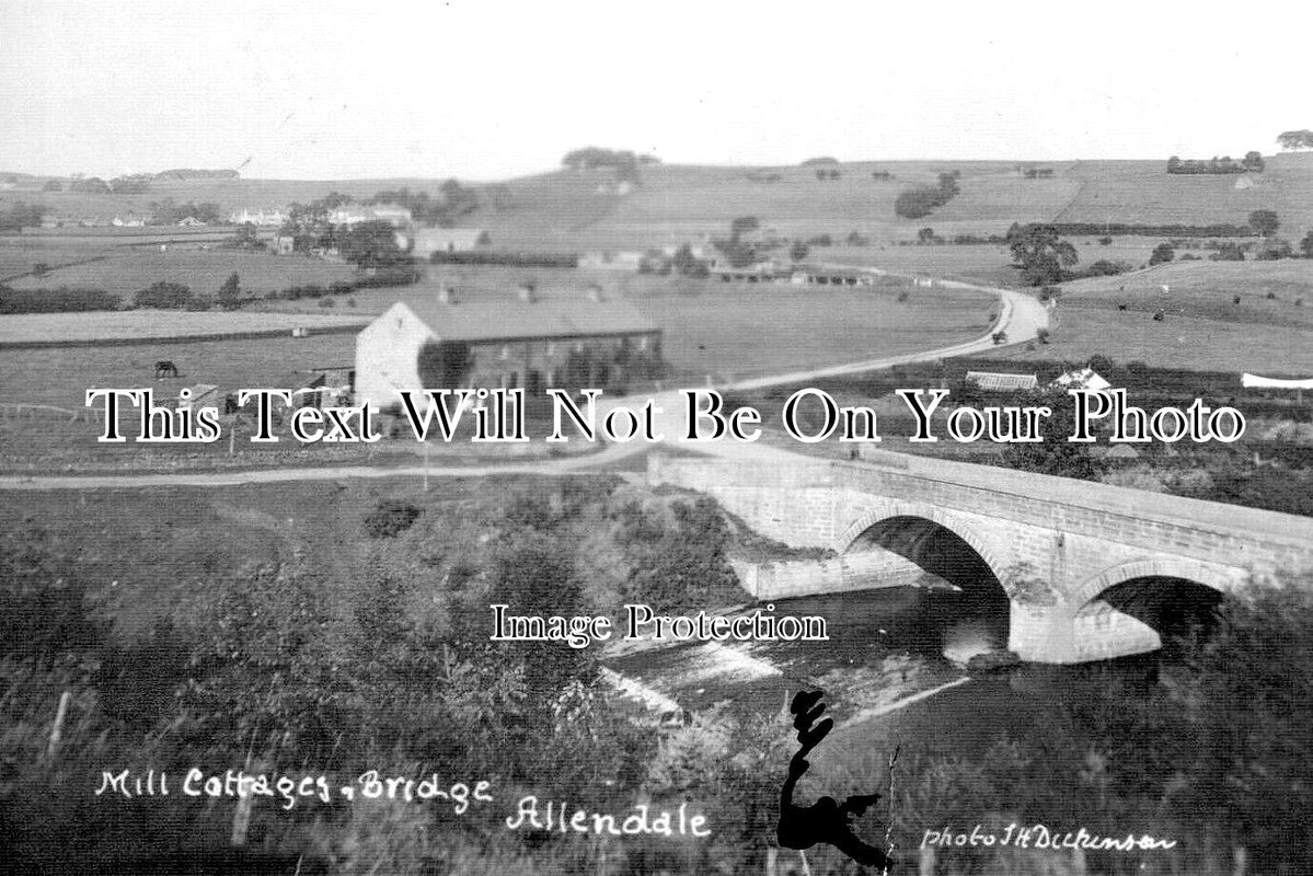 NO 1615 - Mill Cottages & Bridge, Allendale, Northumberland – JB Archive