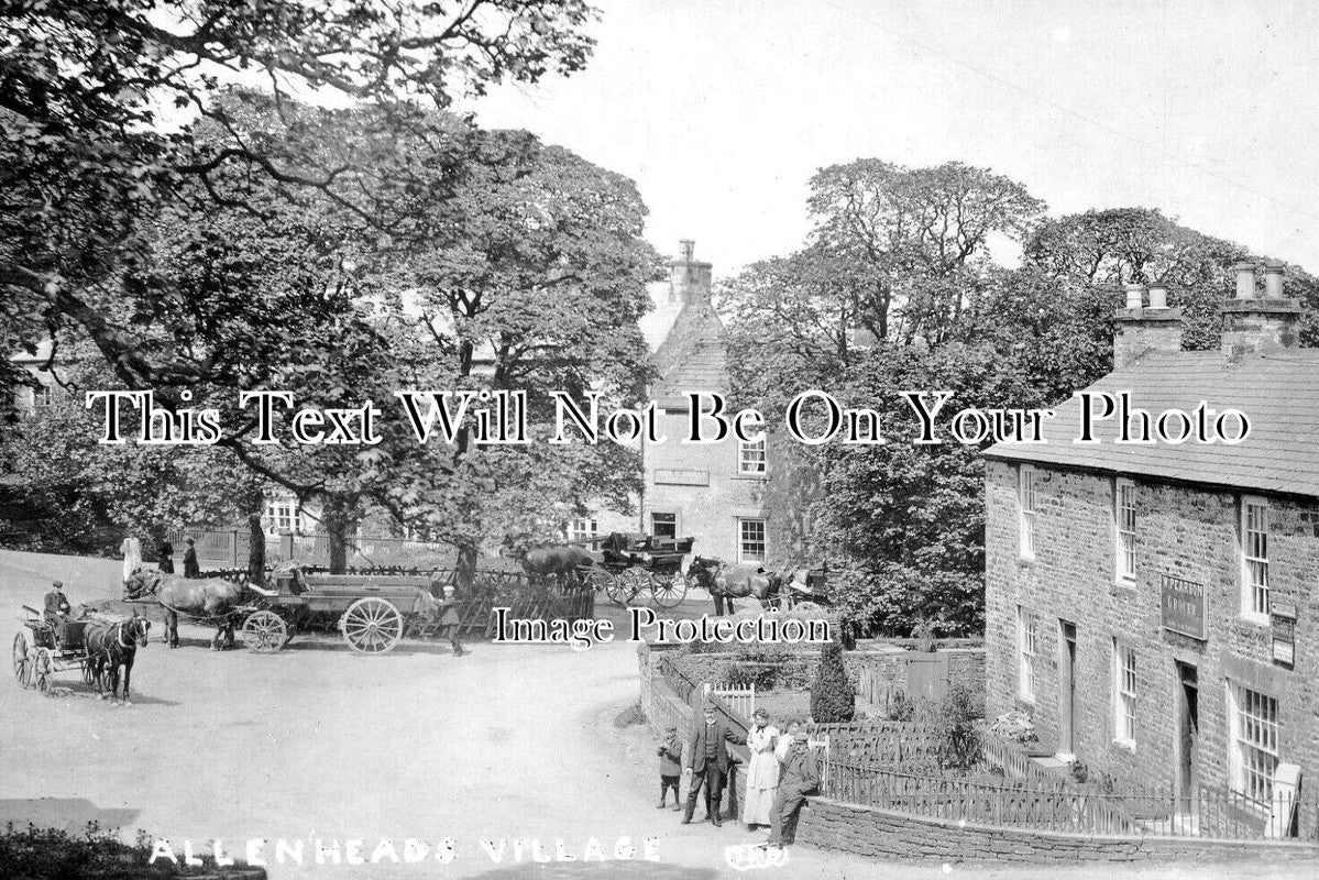 NO 2024 - Allenheads, Allendale, Northumberland – JB Archive