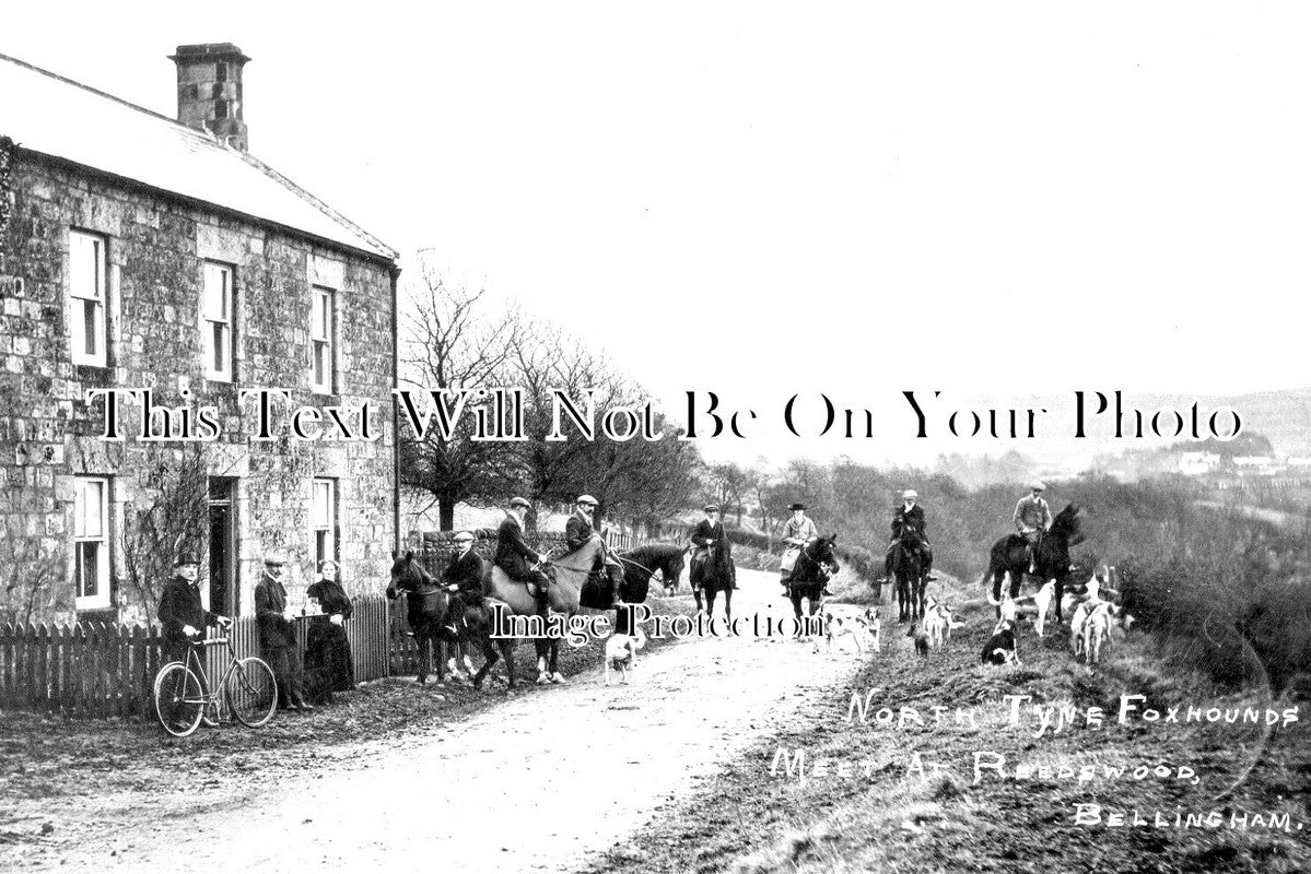 NO 2175 - North Tyne Foxhounds, Reedswood, Bellingham, Hexham c1915 ...