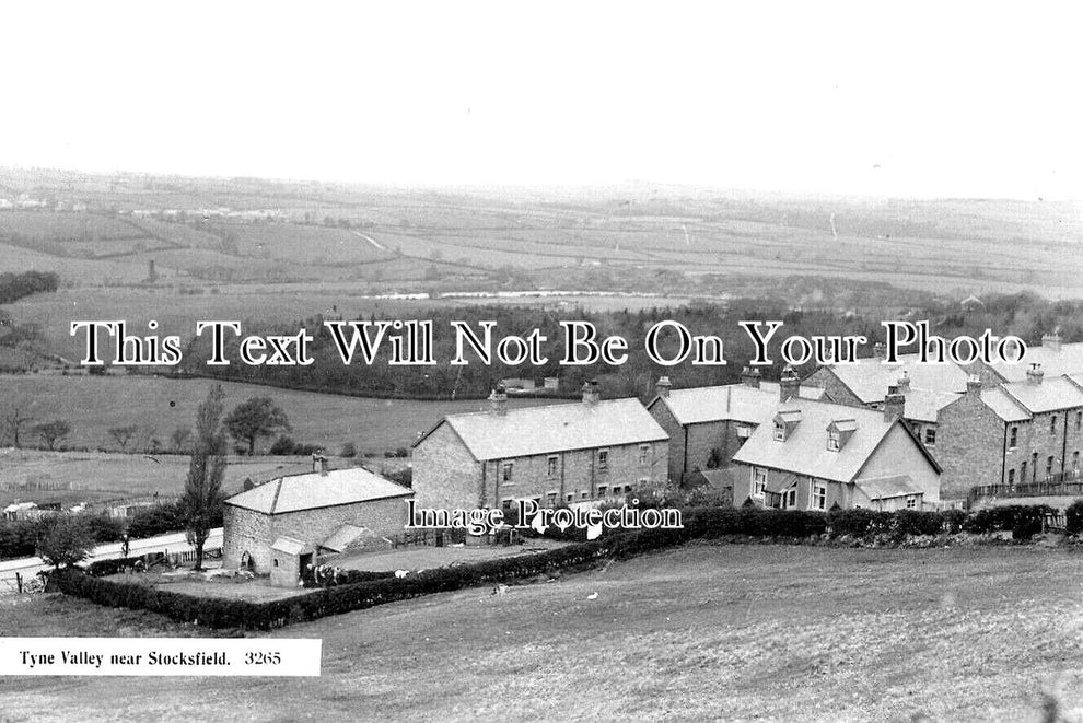 NO 2265 - Tyne Valley Near Stocksfield, Northumberland – JB Archive