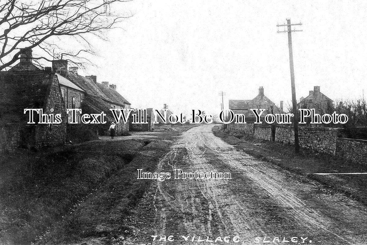 NO 2781 - Slaley Village, Hexham, Northumberland – JB Archive