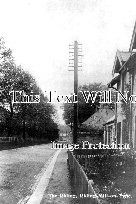 NO 2829 - The Riding, Riding Mill On Tyne, Northumberland – JB Archive