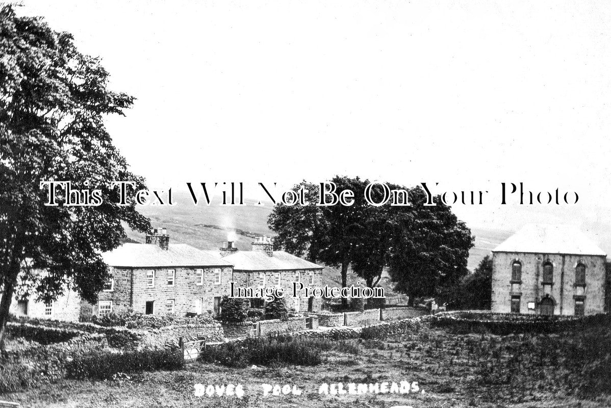 NO 924 - Doves Pool, Allenheads, Hexham, Northumberland – JB Archive
