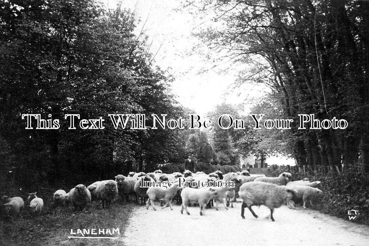 NT 709 - Laneham, Nottinghamshire – JB Archive